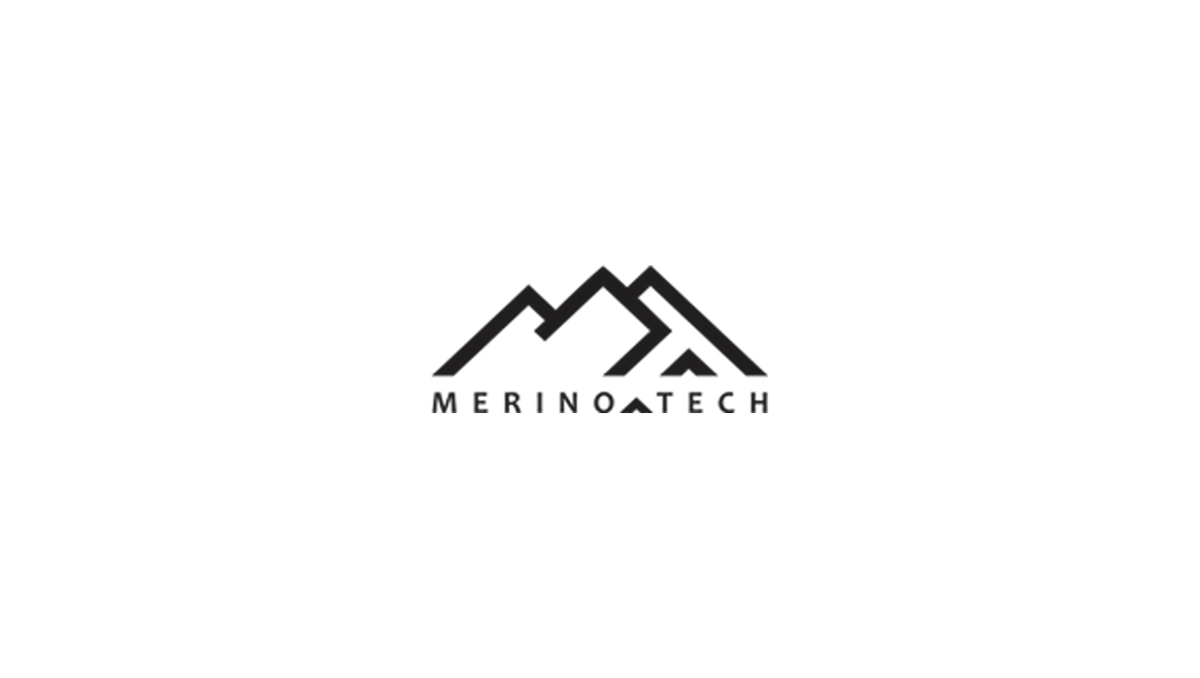 MERINO WOOL SOCKS – Merino.tech CA